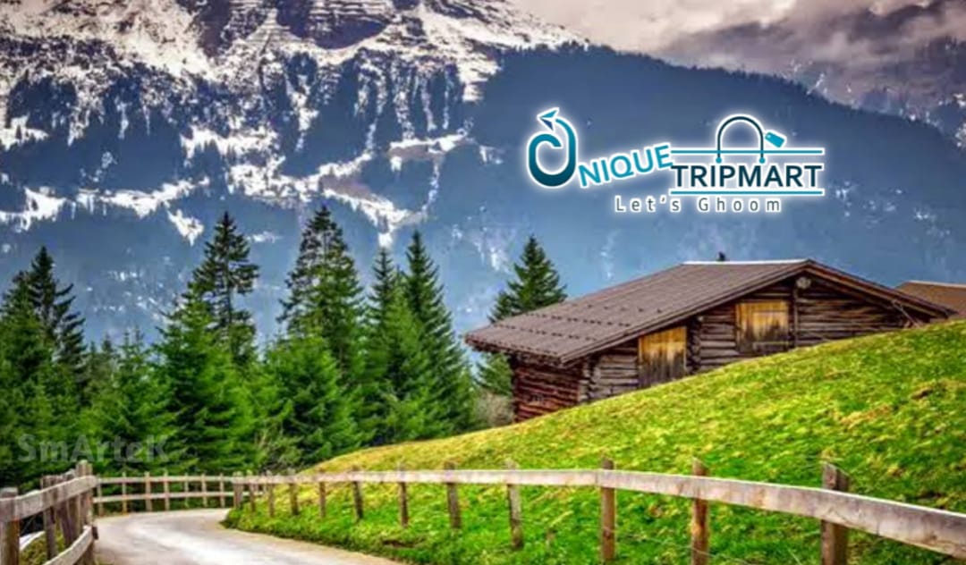 Happiest feedback by the guest who visit Kashmir with @uniquetripmart ...